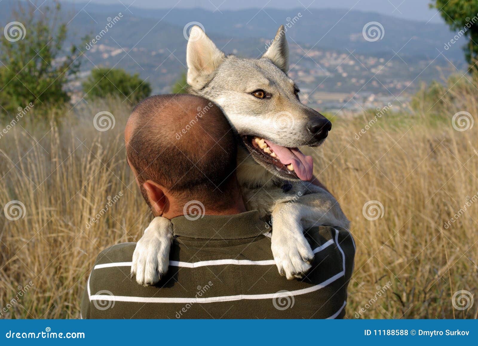 Mann mit seinem Hund stockfoto. Bild von elsässisch, streicheln - 11188588
