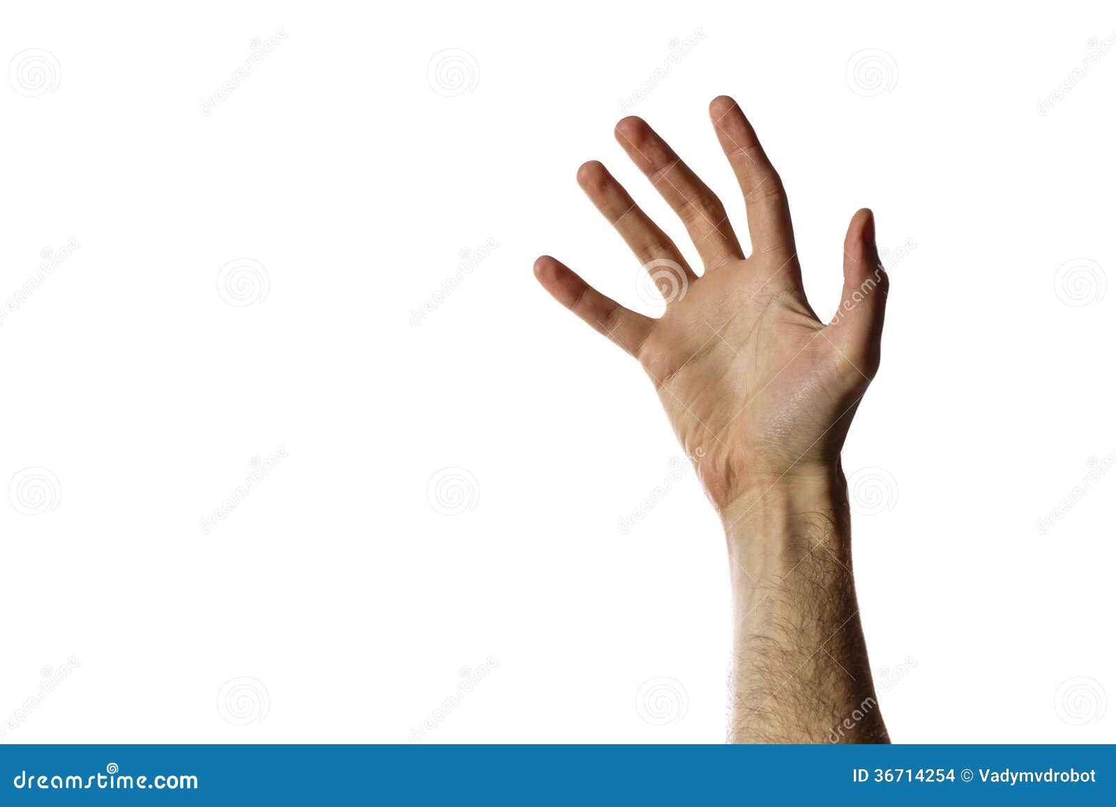 Mann ` s offene Hand stockfoto. Bild von finger, fünf - 36714254