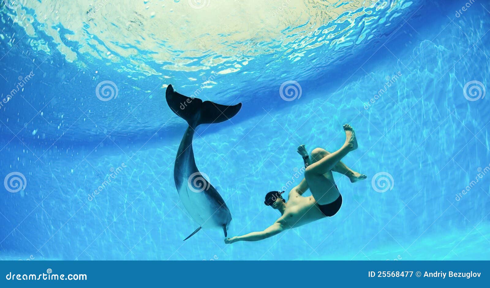 Mann und Delphin stockbild. Bild von aquarium, hand, nett - 25568477