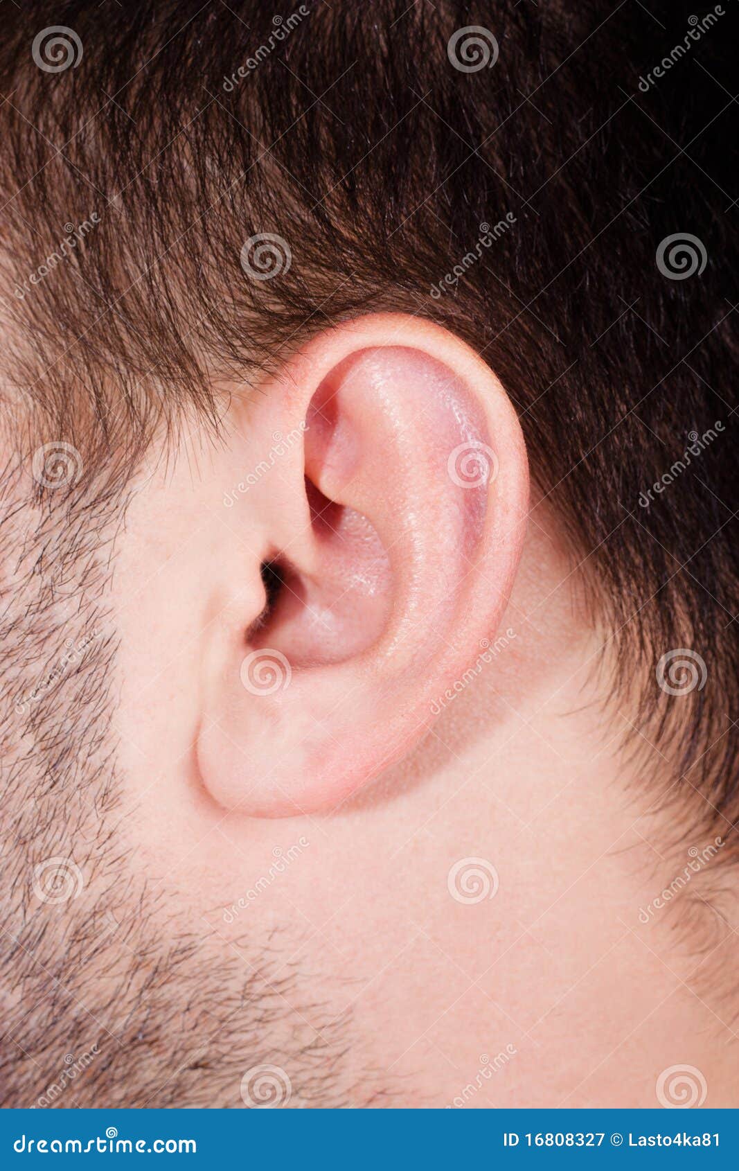 Mannelijk Oor in Dichte Omhooggaand Stock Afbeelding - Image of plooi ...