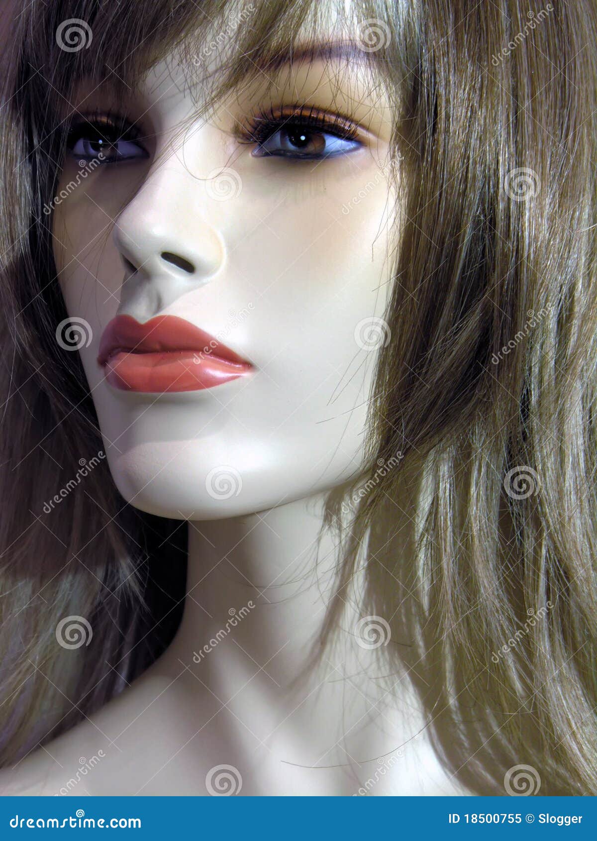 Mannequin stock image. Image of face, looking, mannequin - 18500755