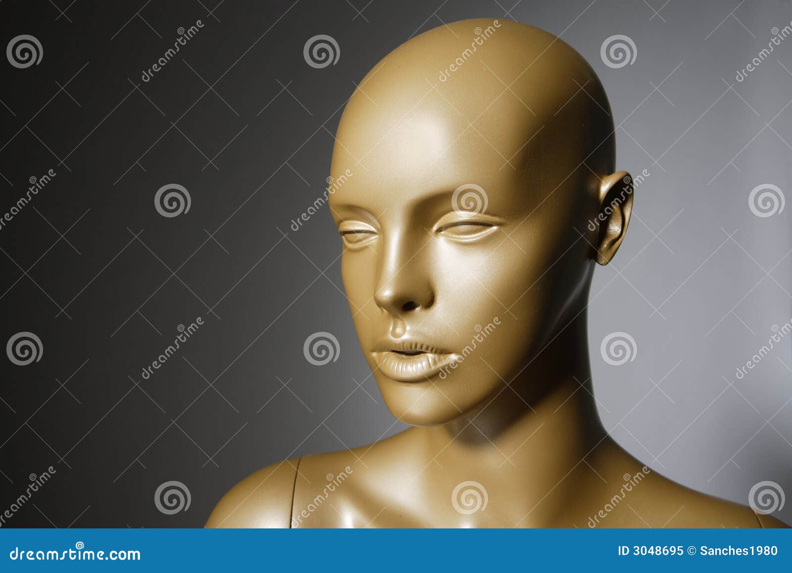 Mannequin stock image. Image of fashion, head, medical - 3048695