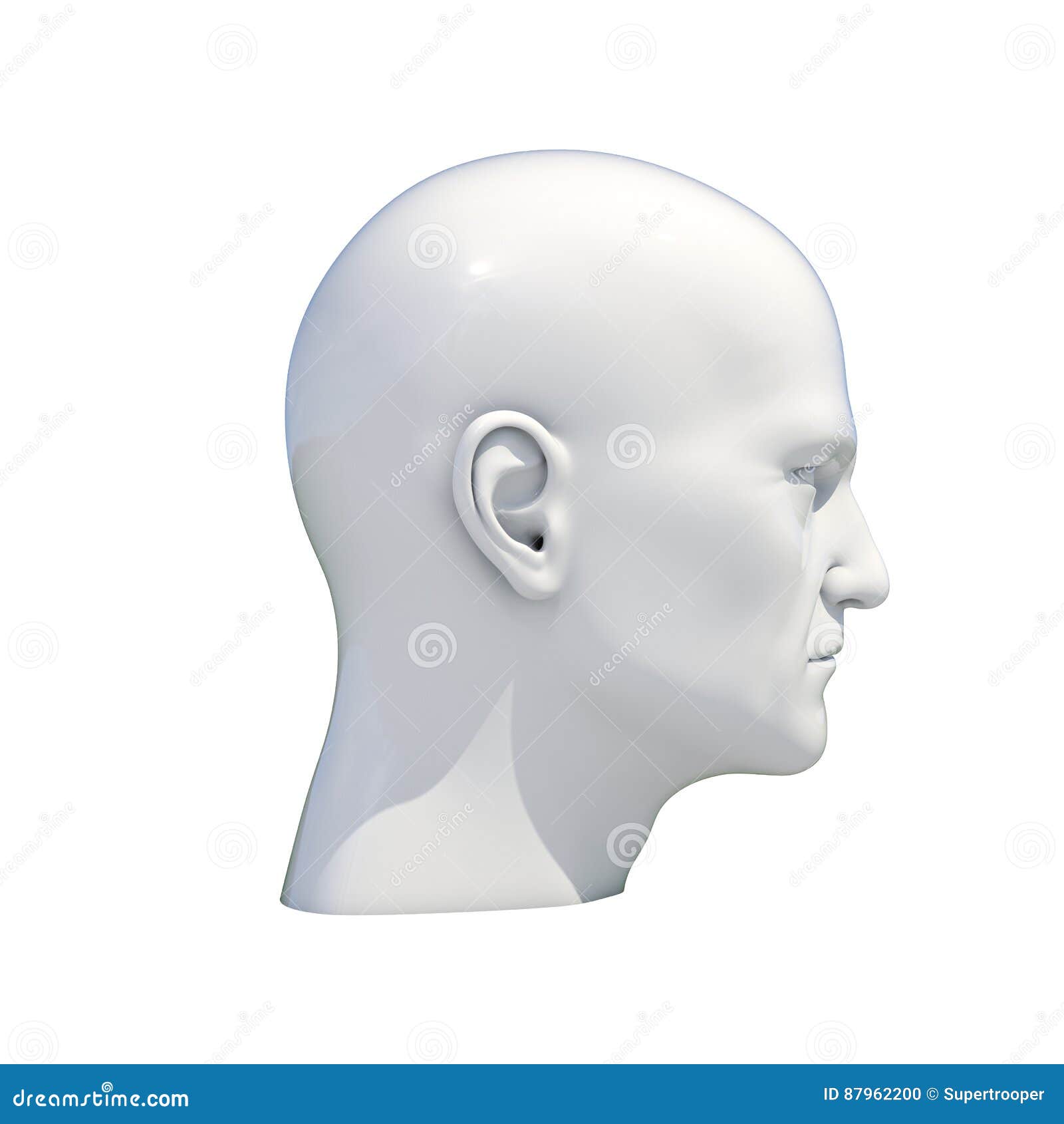 Mannequin Dummy Head Isolated Stock Illustration - Illustration of ...