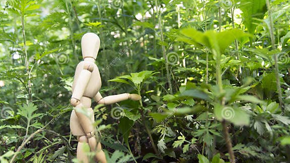 Mannequin Exploration stock photo. Image of dramatic - 55422204