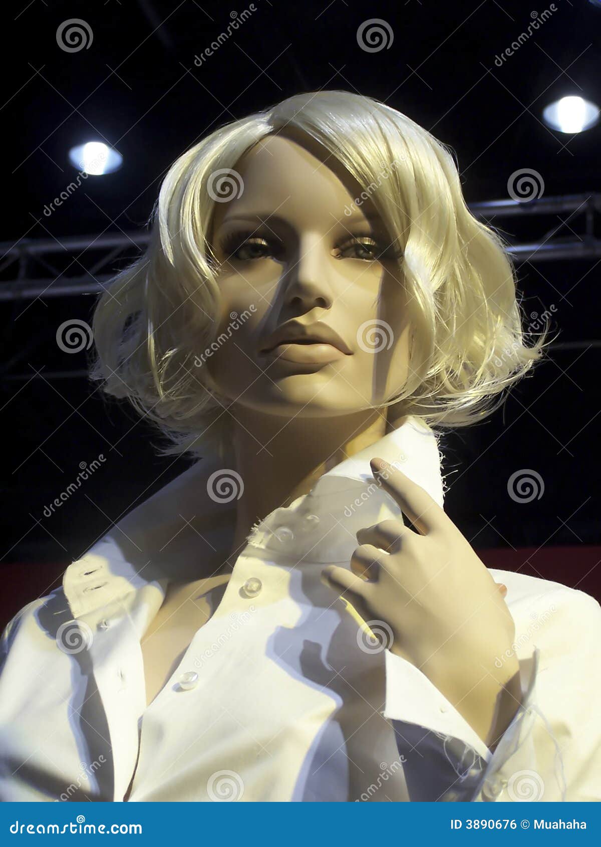 Mannequin girl stock photo. Image of show, style, female - 3890676