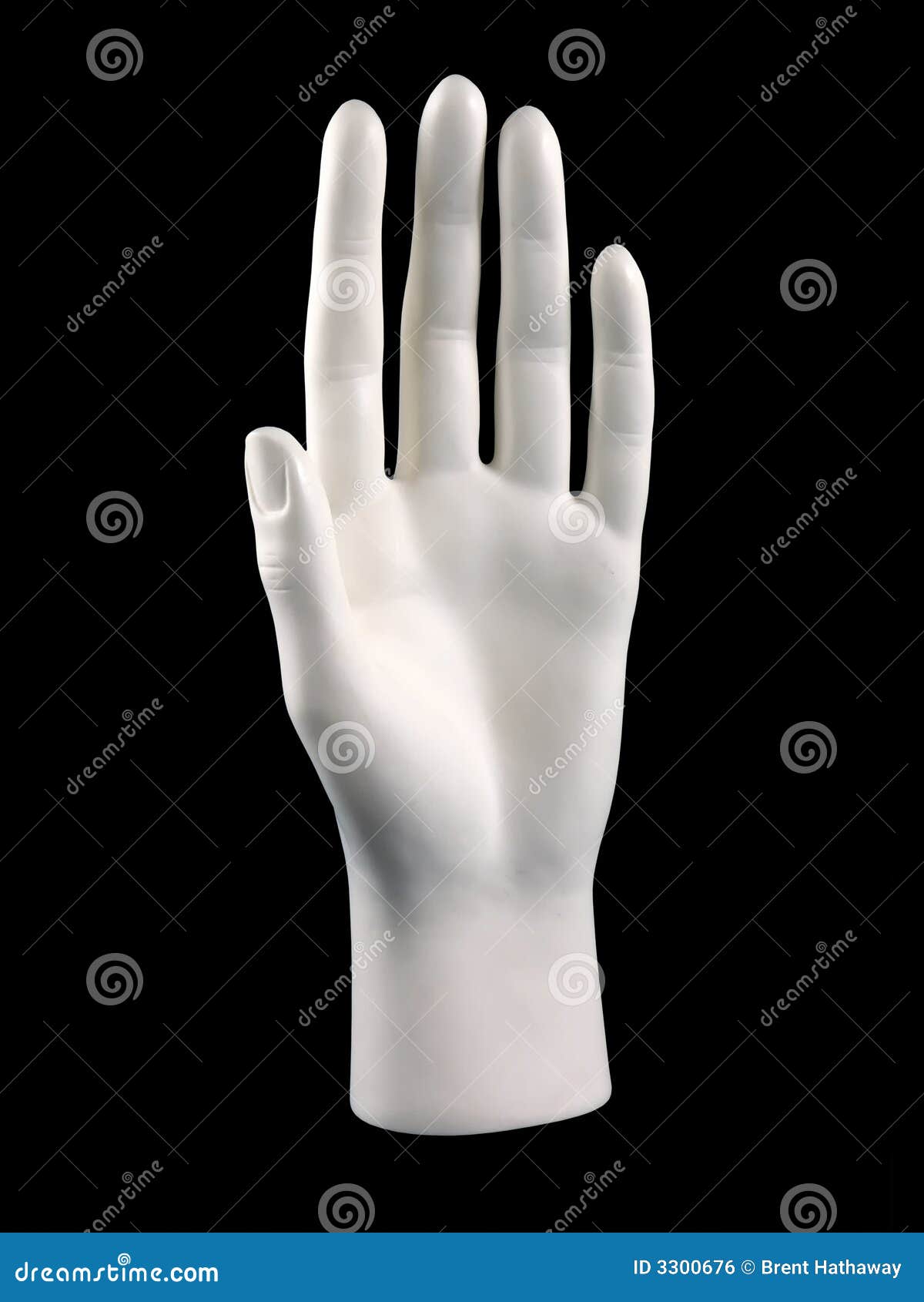 Mannequin Hand stock photo. Image of thumb, severed, mannequin - 3300676