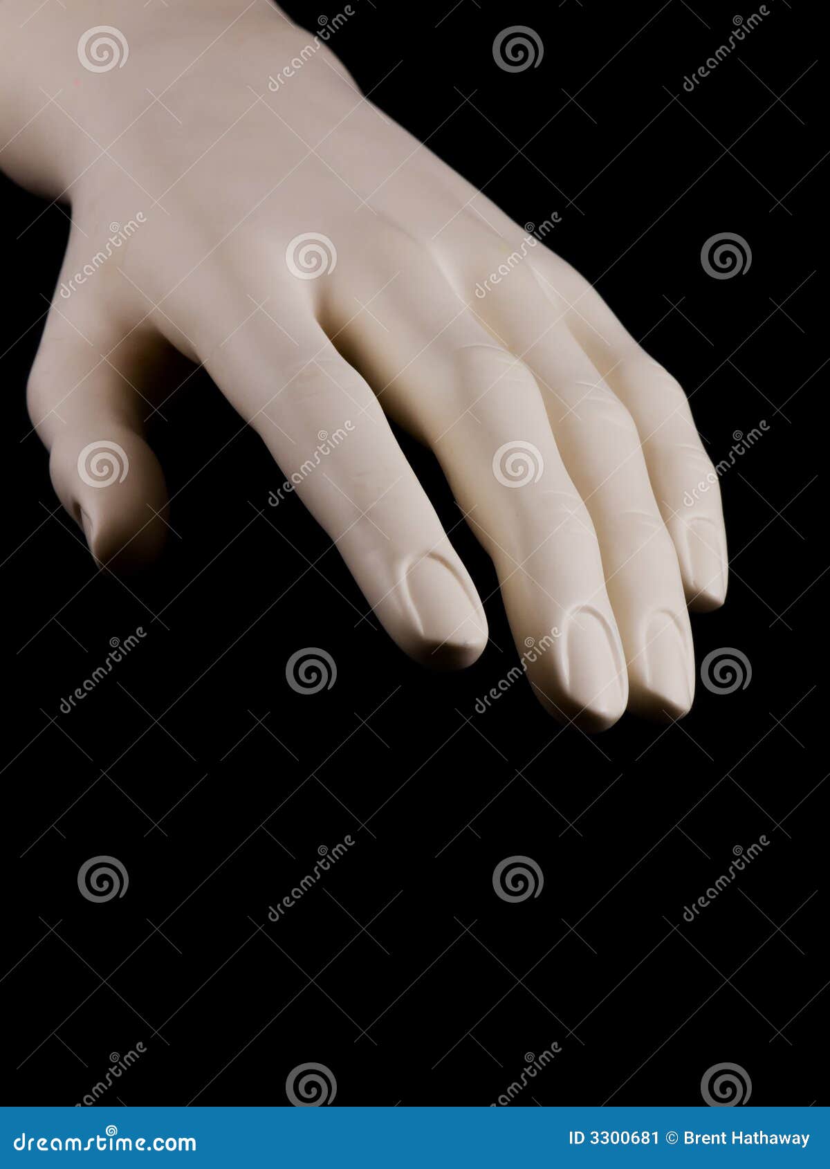 Mannequin Hand stock image. Image of fashion, isolated - 3300681