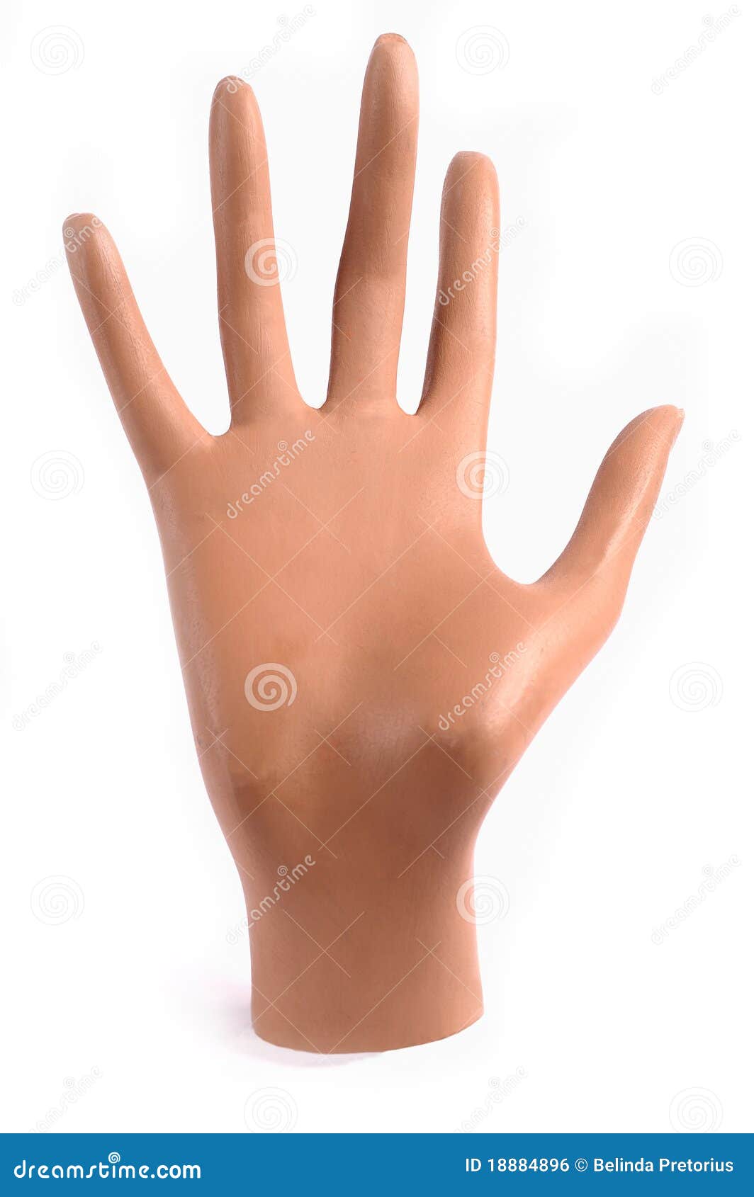 Mannequin Hand Royalty-Free Stock Image | CartoonDealer.com #3300676