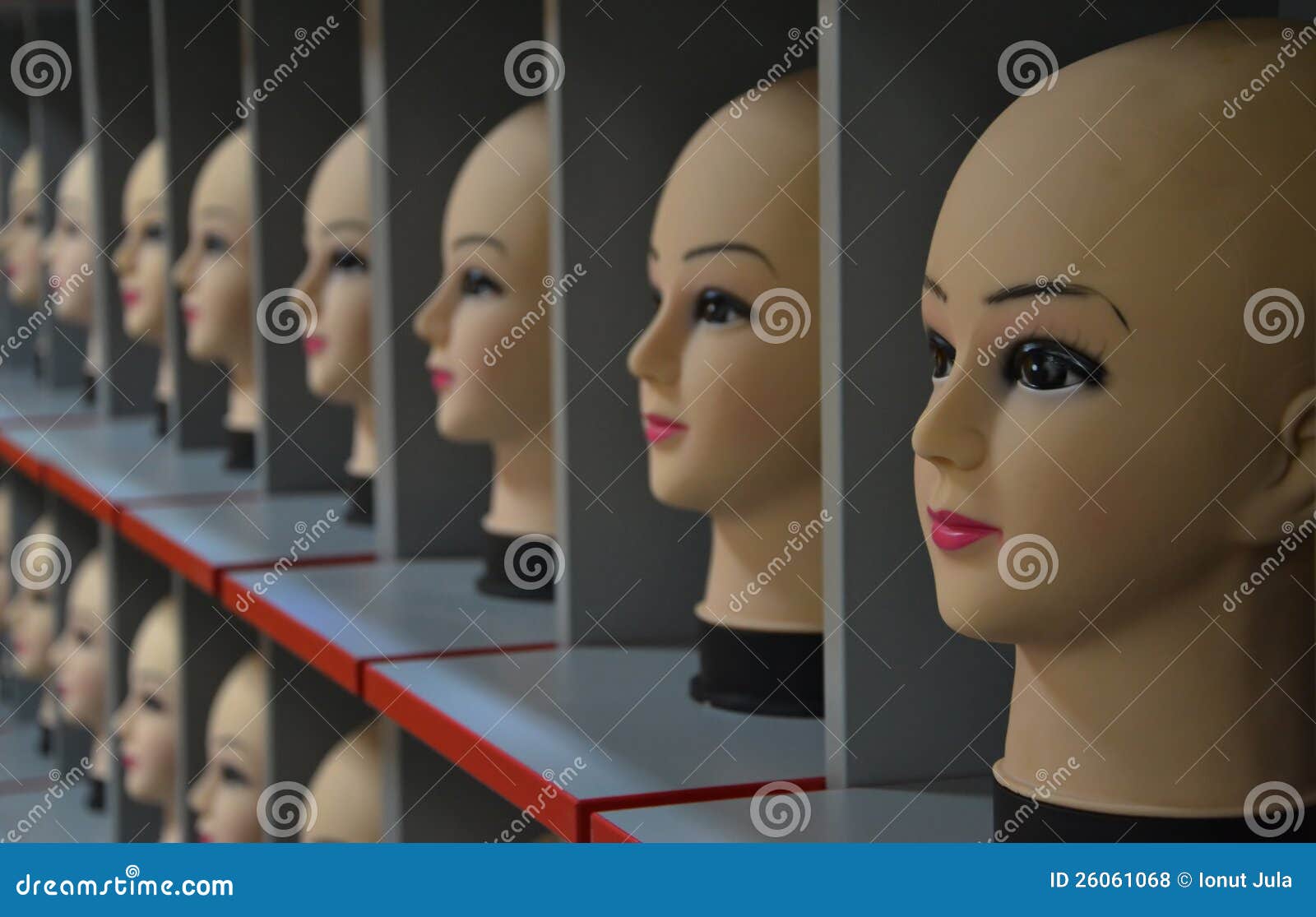 Mannequin heads lined-up stock photo. Image of human - 26061068