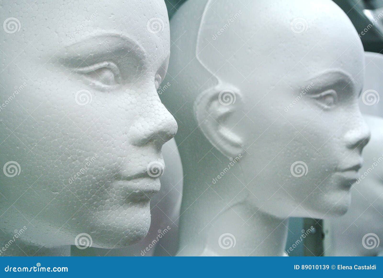 Mannequin heads stock image. Image of experiment, common - 89010139