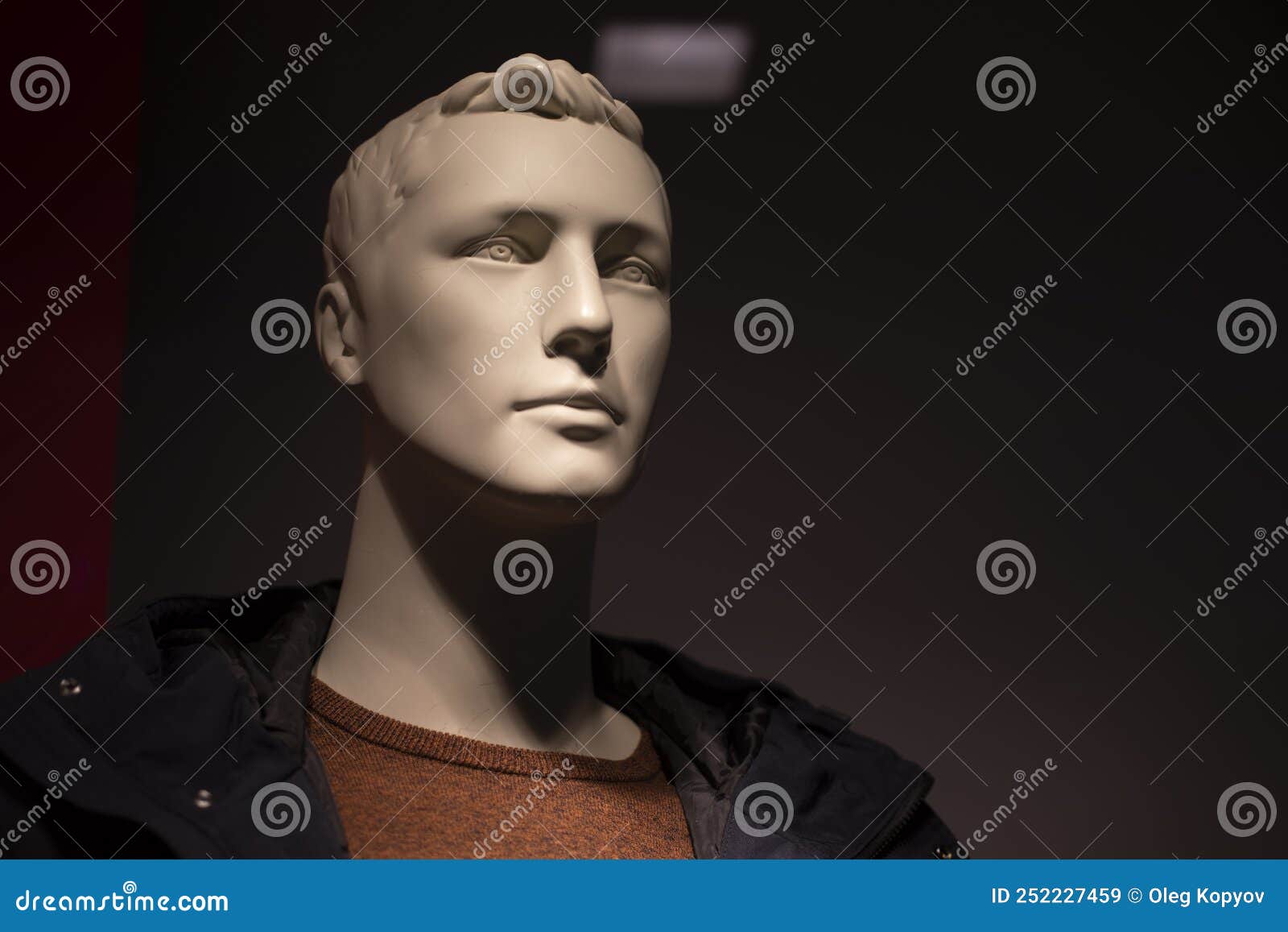 Manikin Man Head