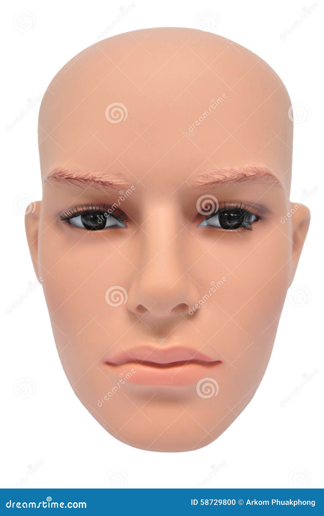 A Mannikin Head stock photo. Image of model, head, parts - 58729800