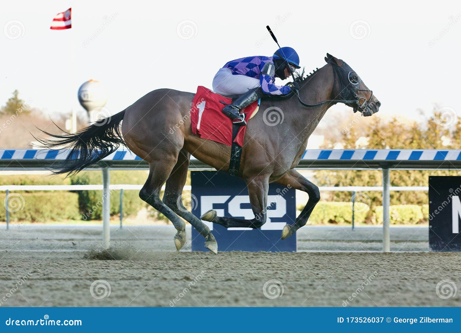 Manny Franco on Playwright editorial photography. Image of ground ...