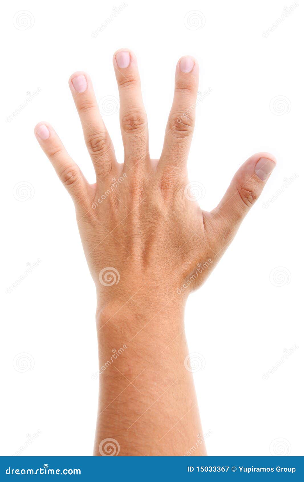 Mano imagen de archivo. Imagen de parte, humano, adulto - 15033367