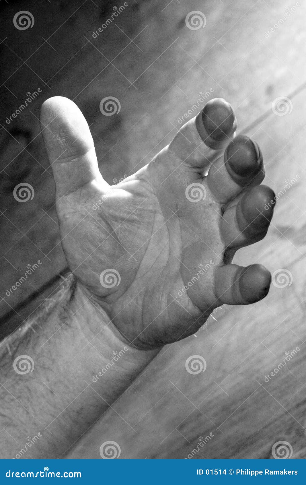 Mano abierta fuerte foto de archivo. Imagen de hombre, piezas - 1514