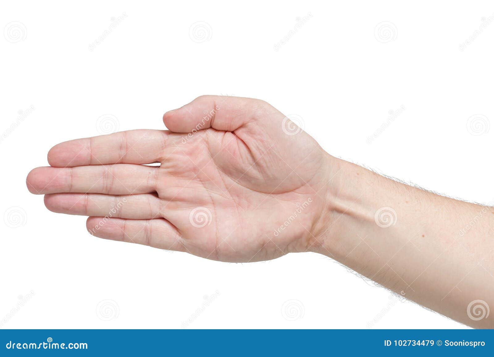 Mano Abierta Y Recta Fondo Blanco Aislado Imagen de archivo - Imagen de ...