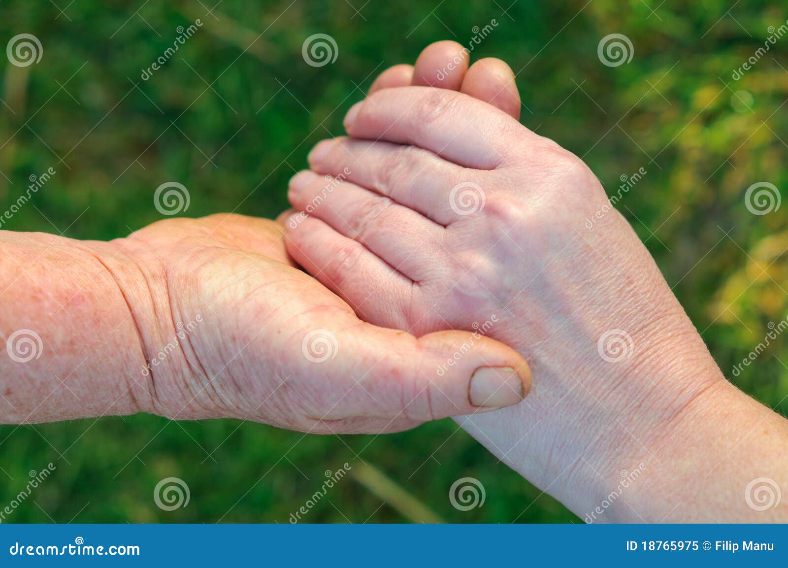 Mano amiga imagen de archivo. Imagen de adulto, mano - 18765975