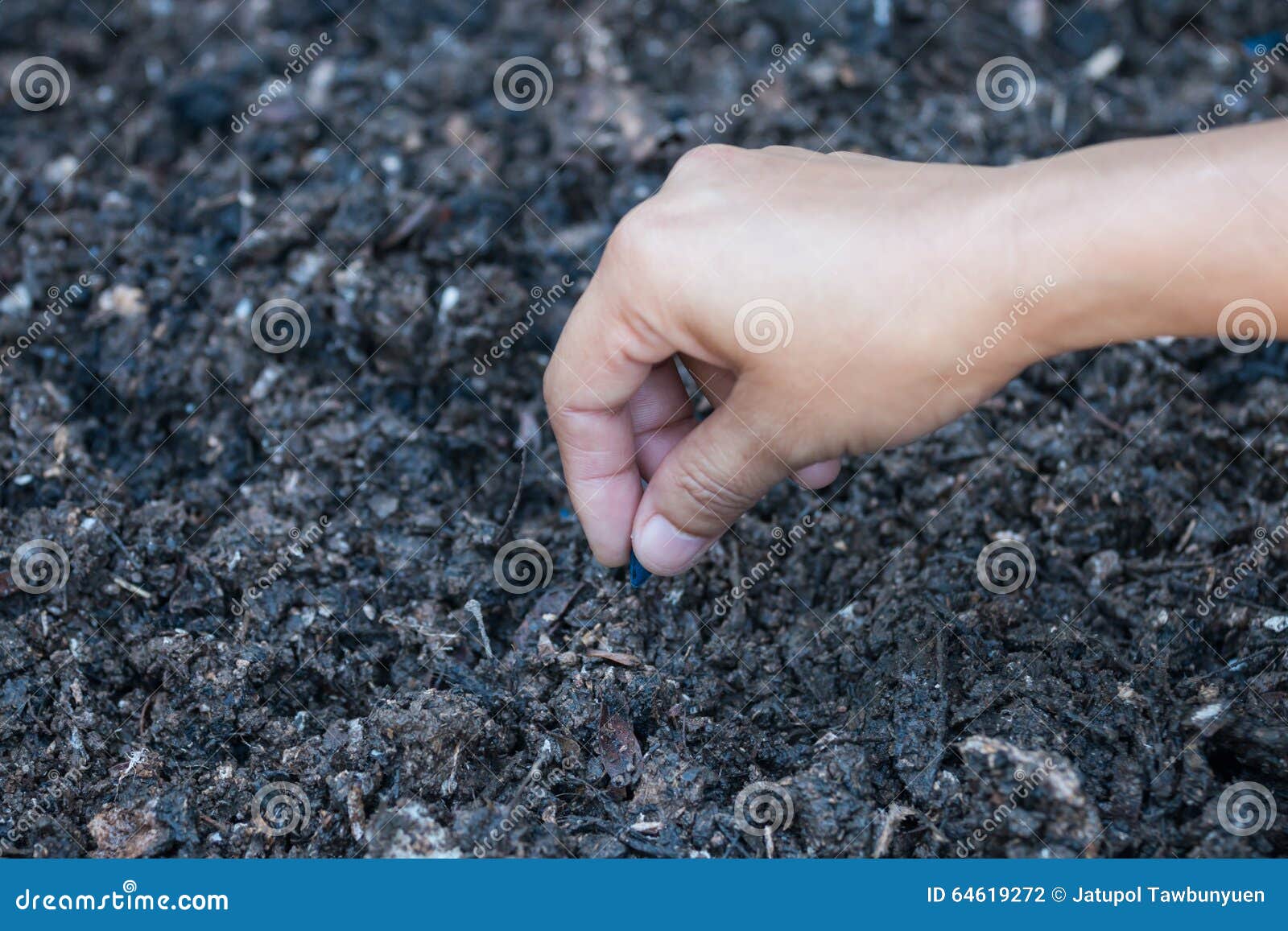 Mano Che Pianta Un Seme in Suolo Fotografia Stock - Immagine di esterno ...