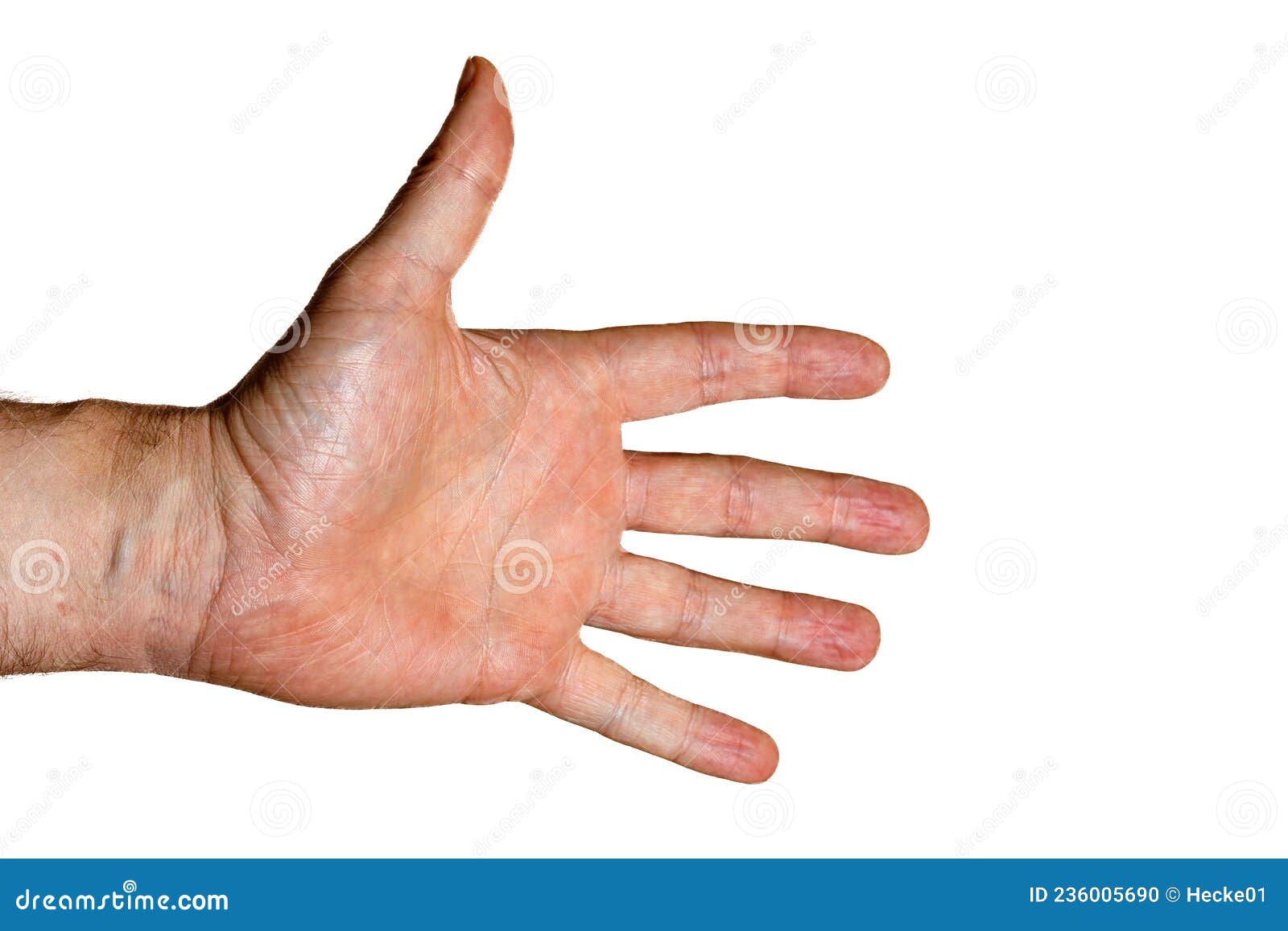 Mano con 5 dedos foto de archivo. Imagen de mano, manicura - 236005690