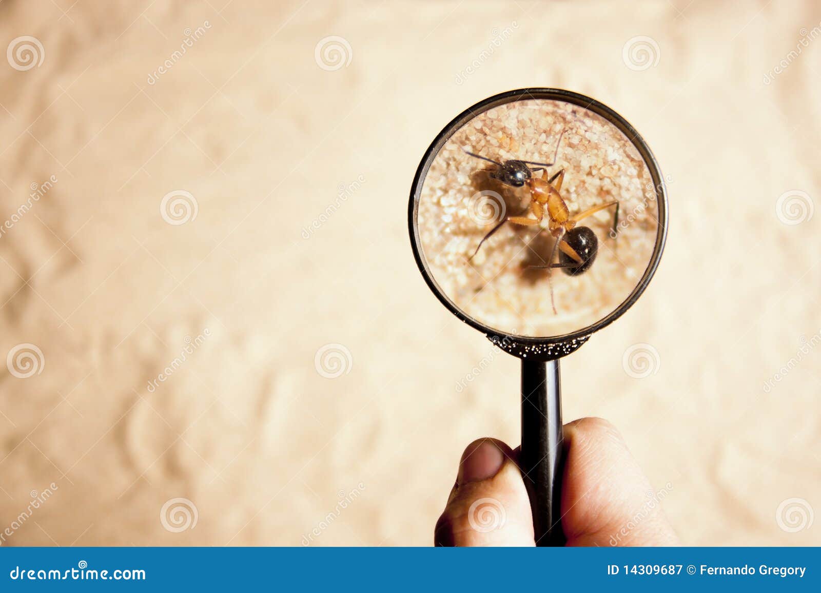 Mano Con La Lente D'ingrandimento Immagine Stock - Immagine di concetto ...