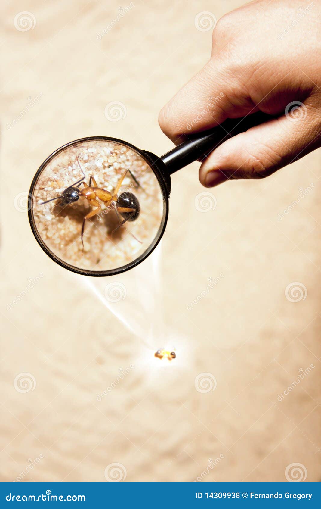 Mano Con La Lente D'ingrandimento Fotografia Stock - Immagine di ...