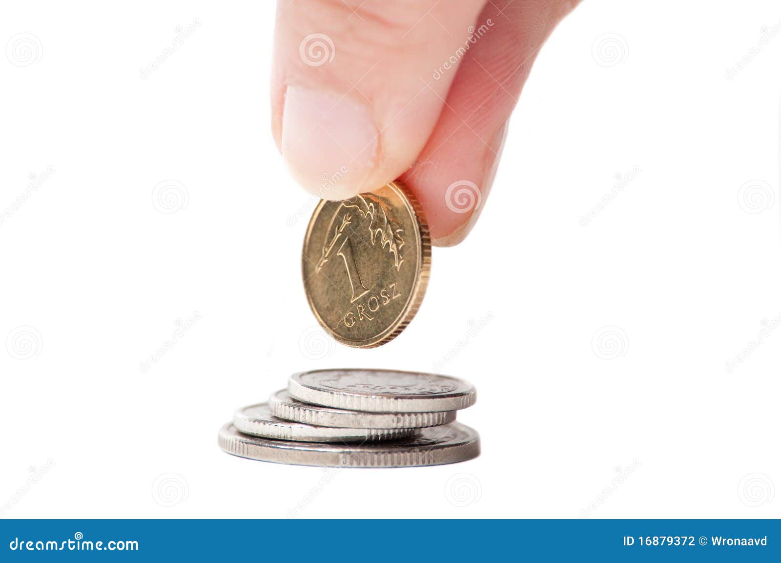 Mano con la moneta polacca fotografia stock. Immagine di mercato - 16879372