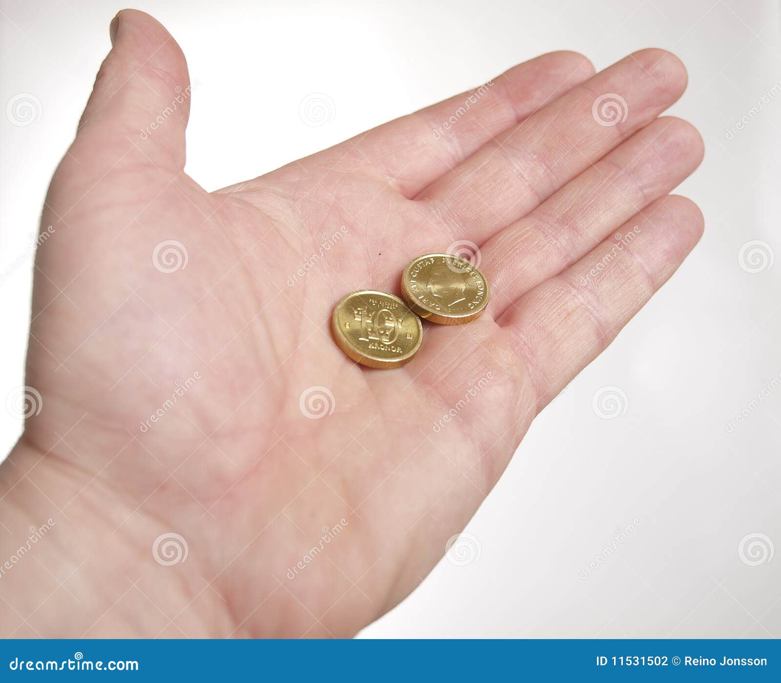 Mano Con Las Monedas Suecas Foto de archivo - Imagen de seguridad ...