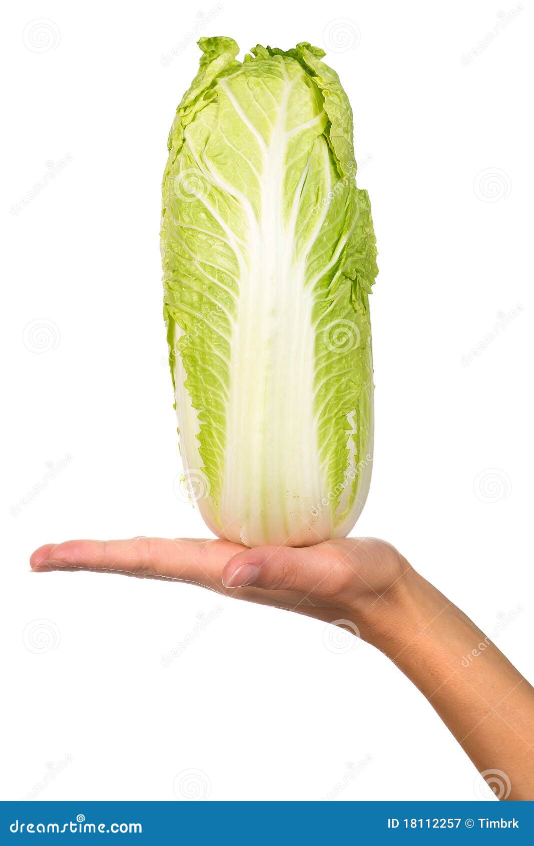 Mano con un cavolo immagine stock. Immagine di cinese - 18112257