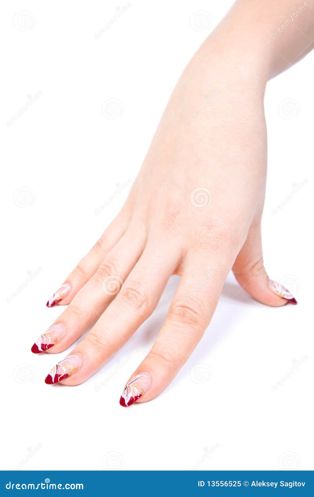 Mano de la mujer imagen de archivo. Imagen de profesional - 13556525