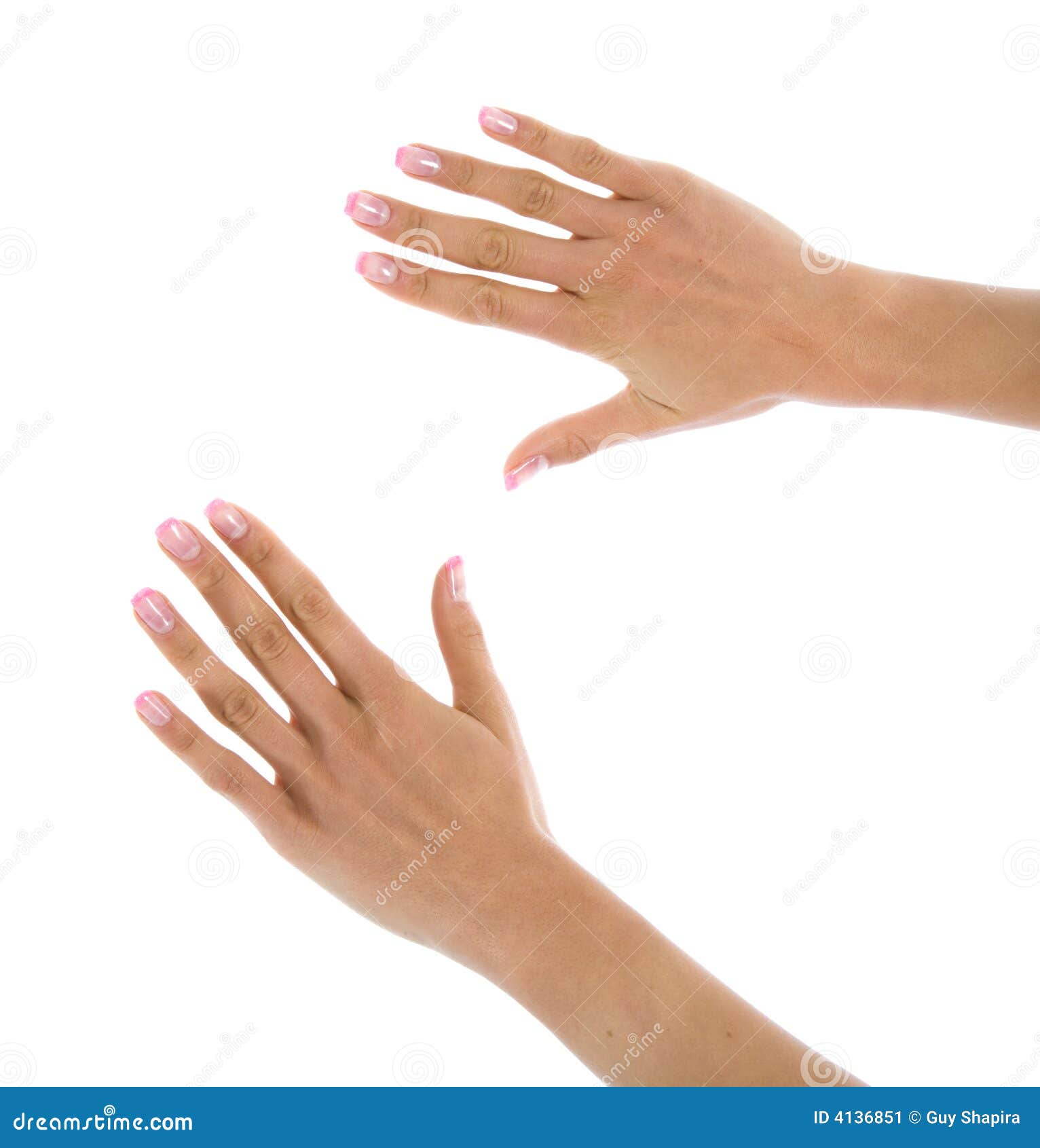 Mano de la mujer imagen de archivo. Imagen de palmas, gente - 4136851