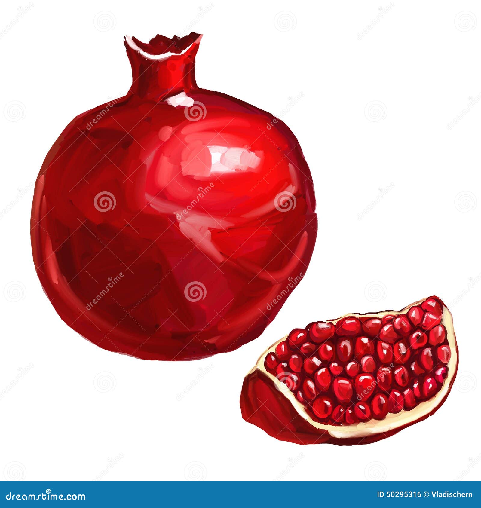 Mano Del Ejemplo Del Vector De La Granada De La Fruta Dibujada ...