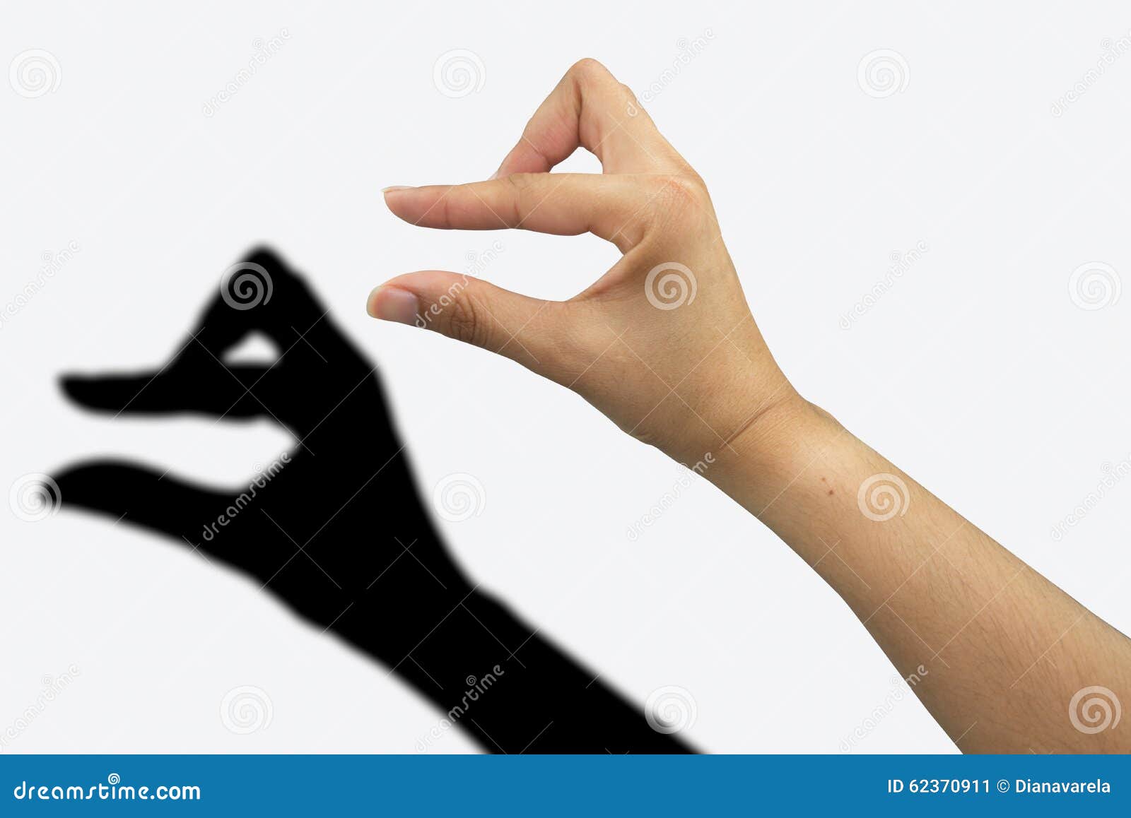 Mano Dell'ombra Dell'anatra Immagine Stock - Immagine di nana, anatra ...