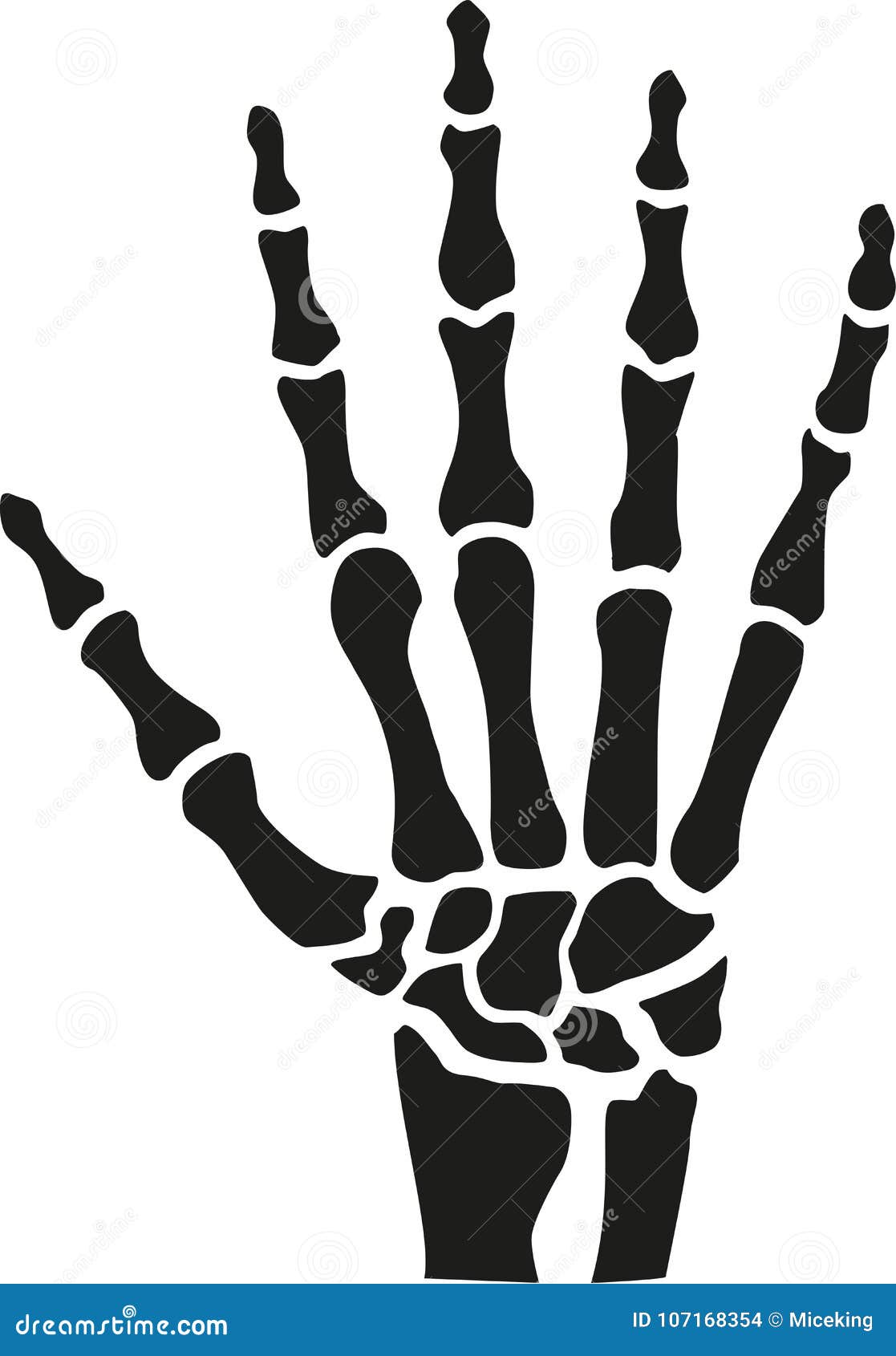 Mano Di Scheletro Con Le Ossa Illustrazione Vettoriale - Illustrazione ...