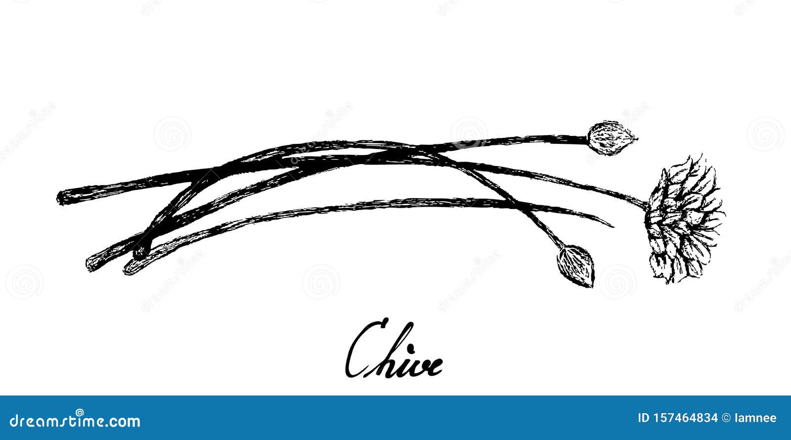 Chicharrones Ilustraciones Stock, Vectores, Y Clipart – (48 ...