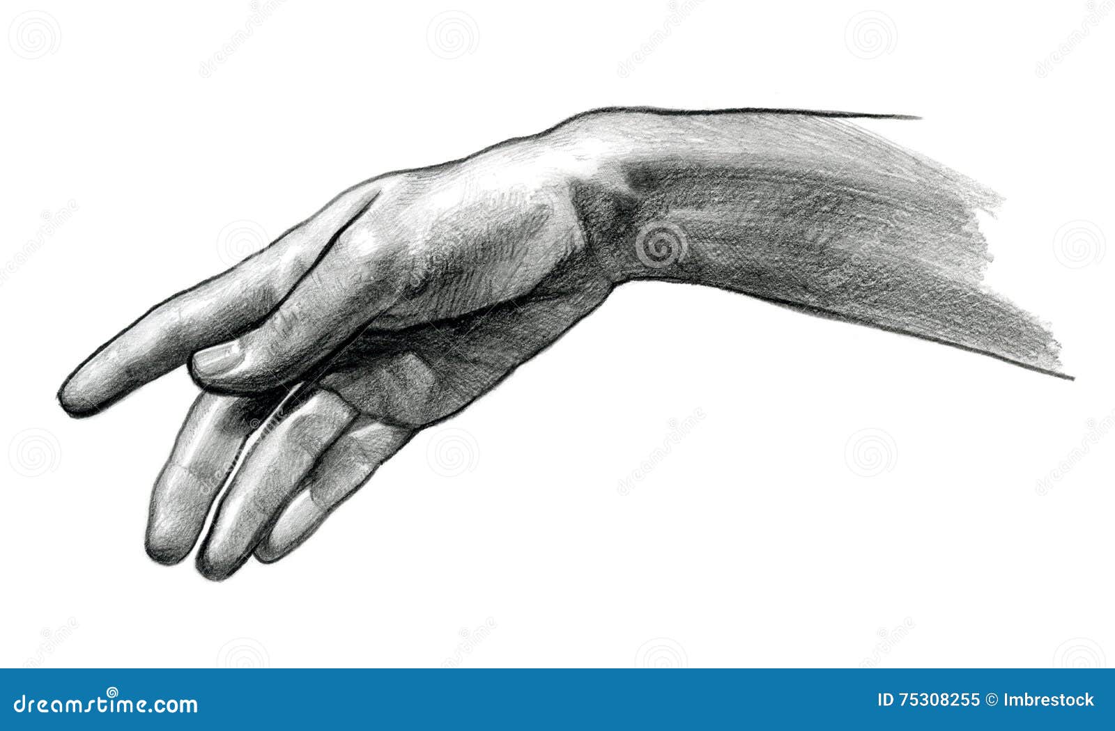 Mano en un estado relajado stock de ilustración. Ilustración de adulto ...