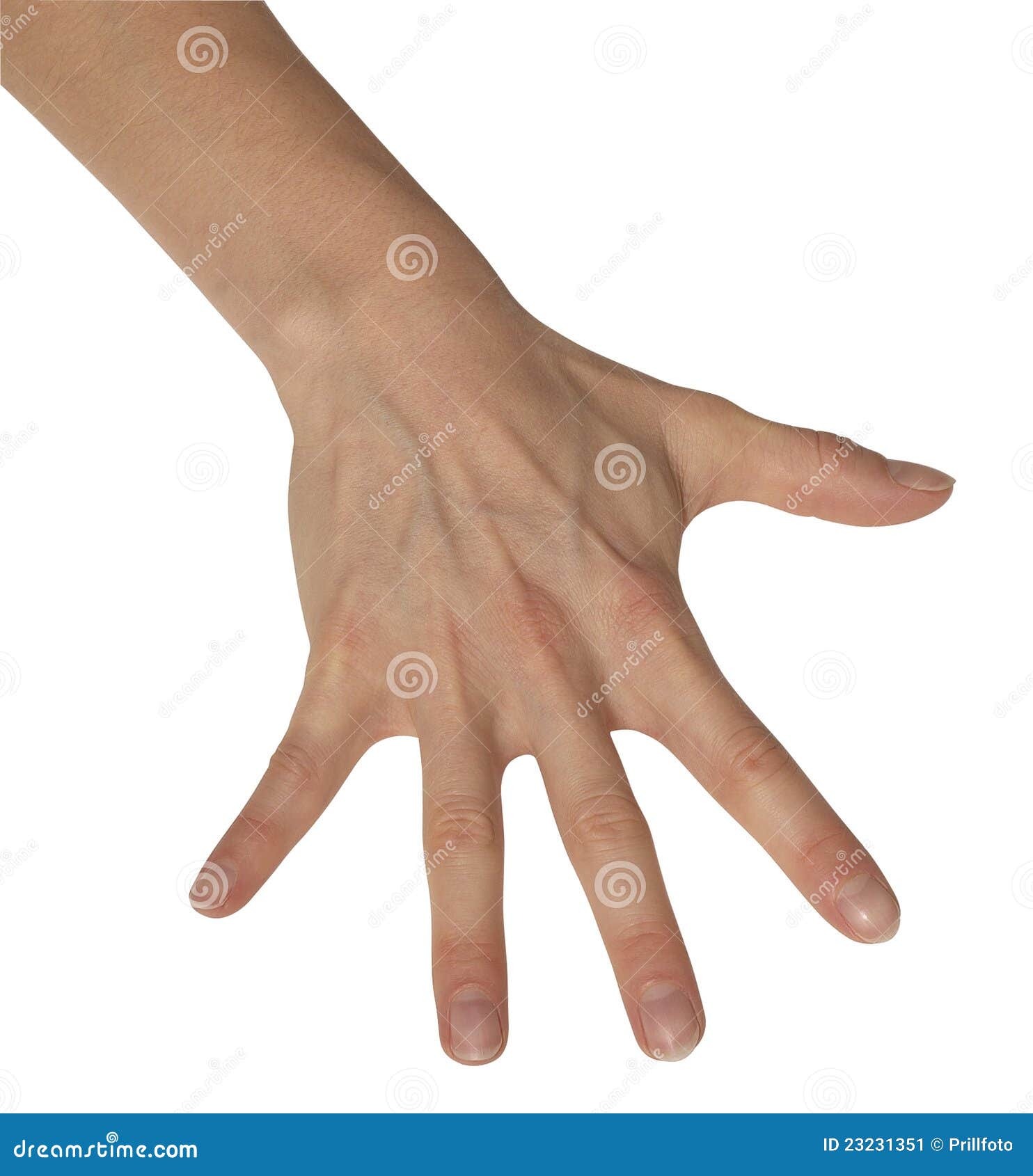 Mano femenina extendida imagen de archivo. Imagen de fragilidad - 23231351