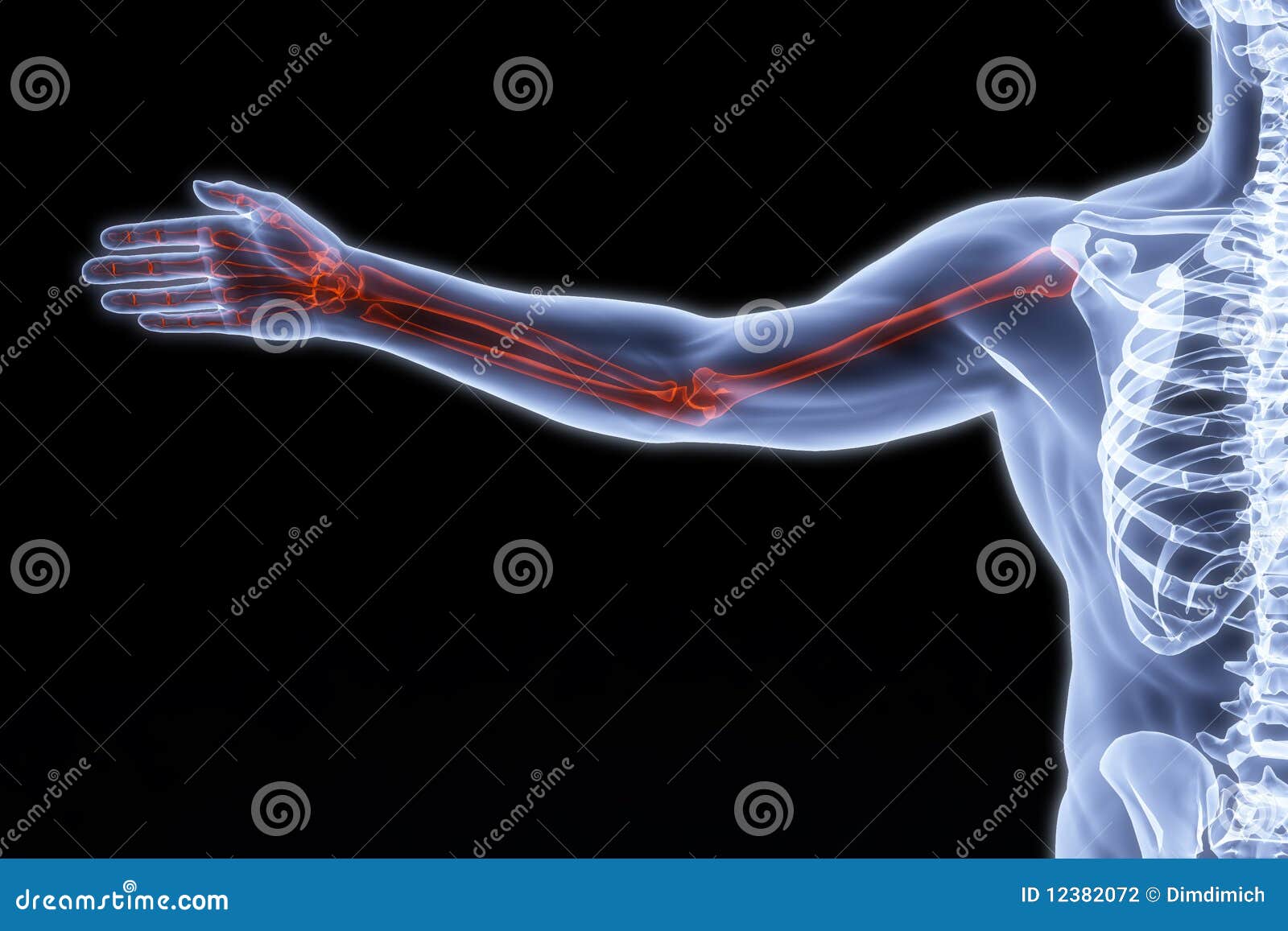 Mano humana stock de ilustración. Ilustración de cadera - 12382072