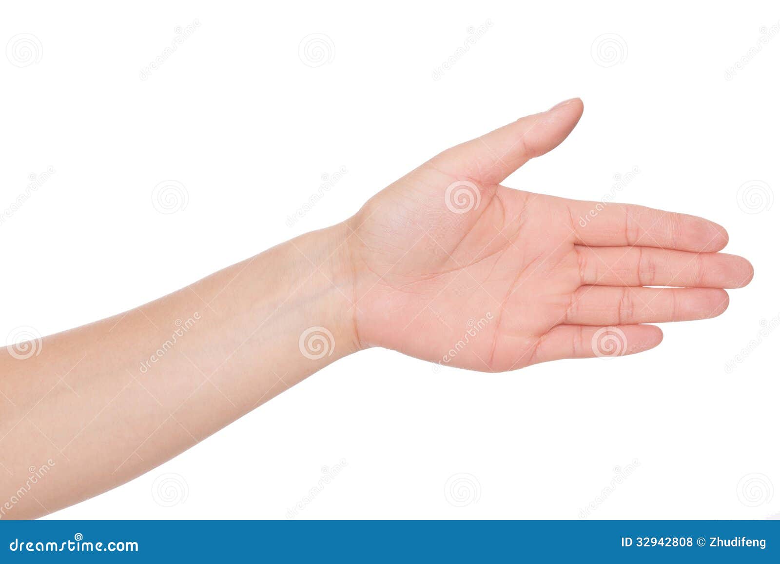 Mano humana foto de archivo. Imagen de mano, izquierdo - 32942808