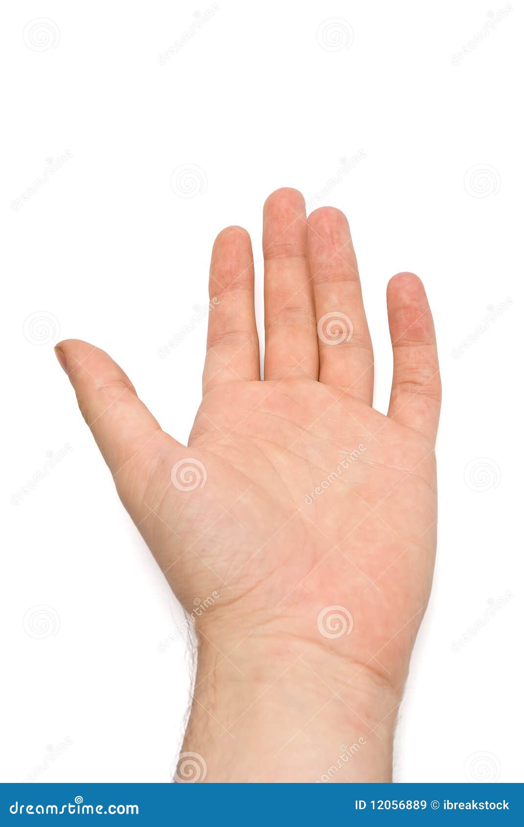 Mano humana aislada imagen de archivo. Imagen de elasticidad - 12056889