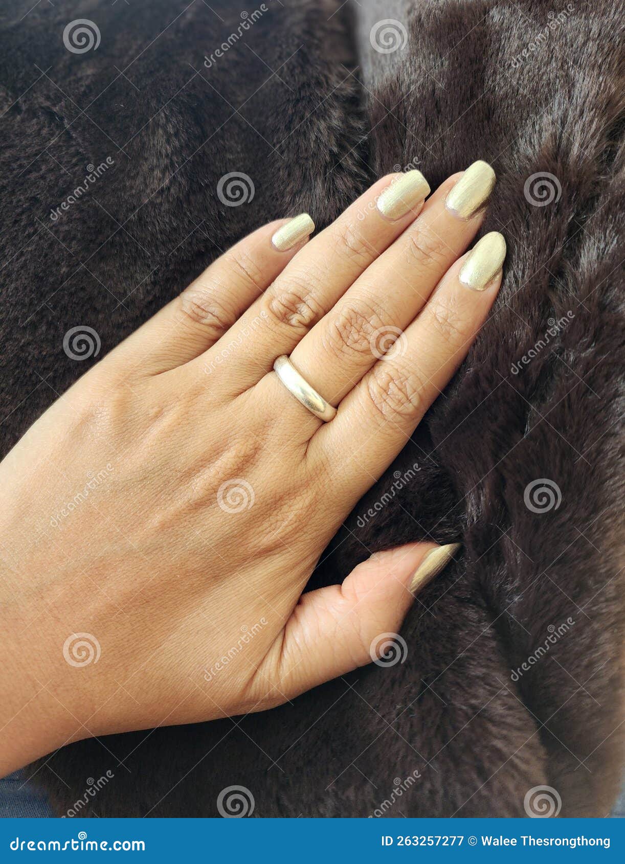 Mano humana imagen de archivo. Imagen de dedo, codornices - 263257277