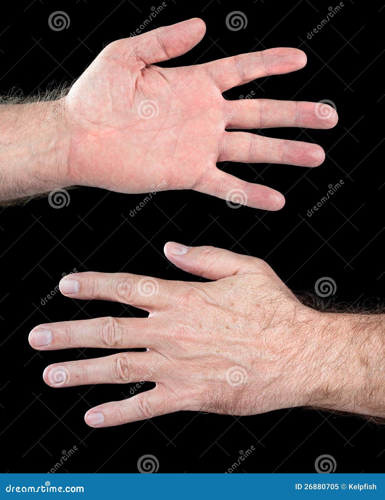 Mano humana masculina imagen de archivo. Imagen de nudillos - 26880705