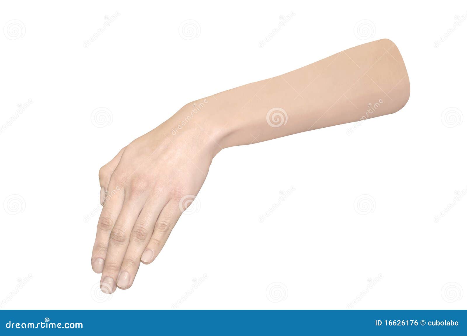 Mano para el beso foto de archivo. Imagen de toma, piel - 16626176