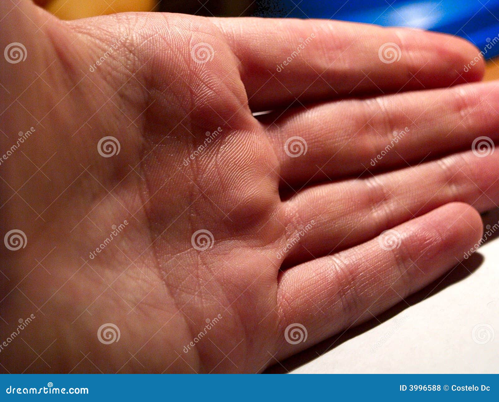 Mano por completo foto de archivo. Imagen de vector, intemporal - 3996588