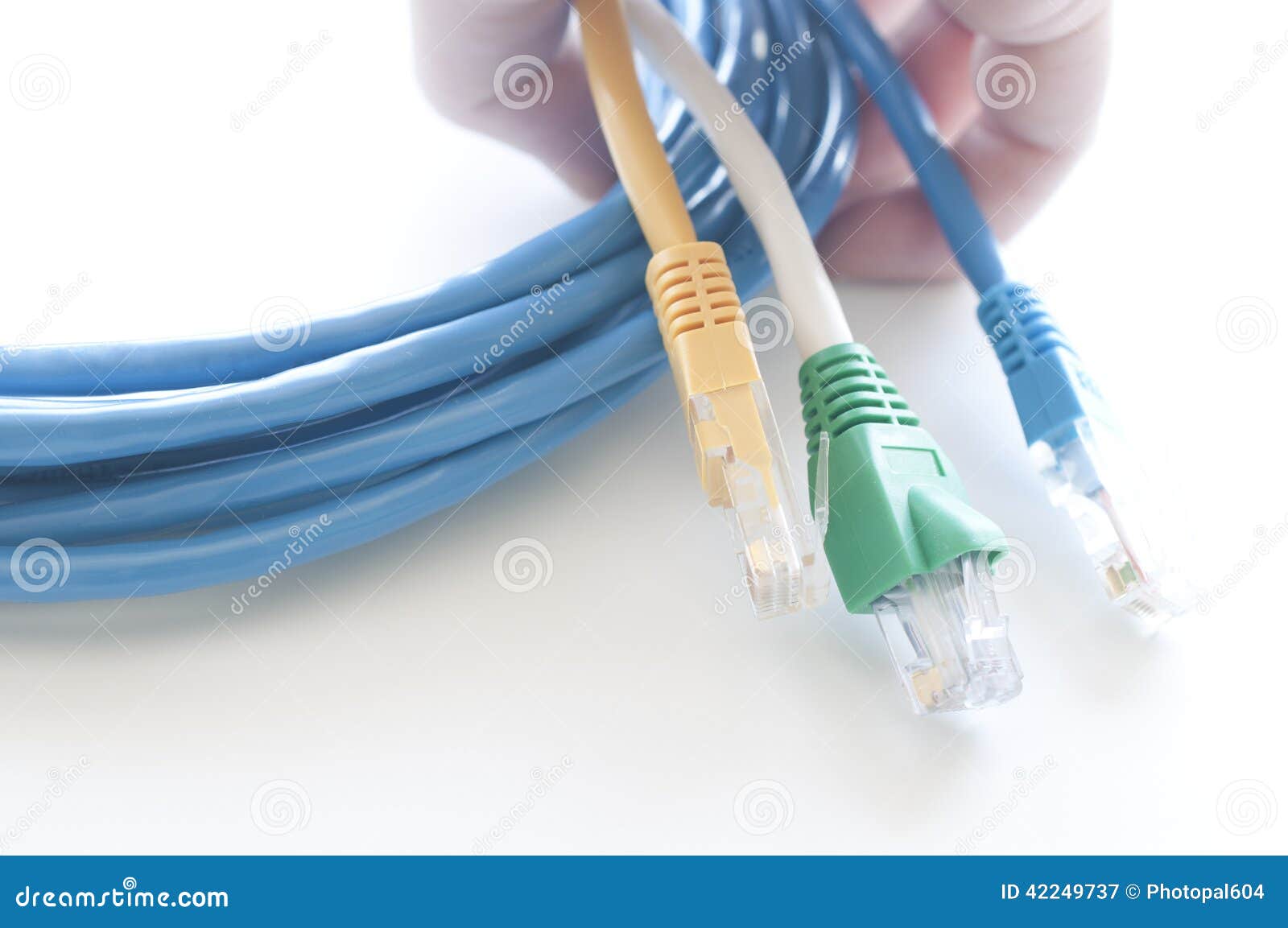 Mano Que Sostiene Los Cables De La Red Imagen de archivo - Imagen de ...