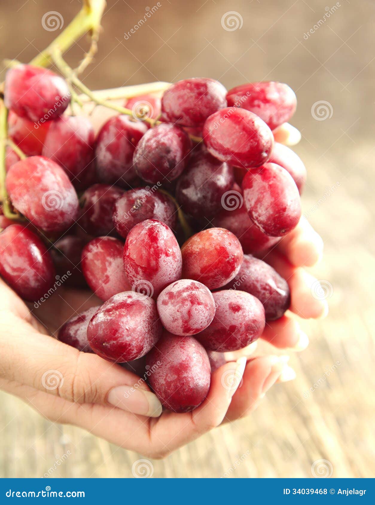 Mano Que Sostiene Un Manojo De Uvas Rojas. Foto de archivo - Imagen de ...