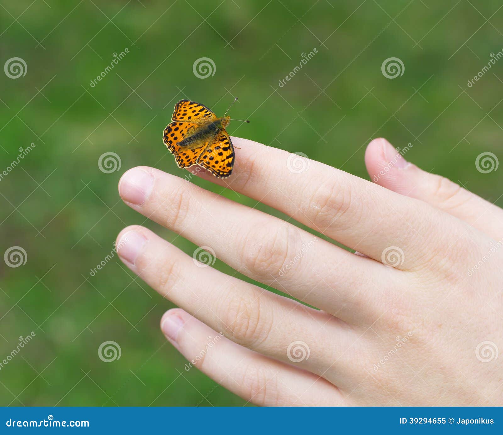 Mano Que Sostiene Una Mariposa Imagen de archivo - Imagen de sentada ... Mano Que Sostiene Una Mariposa Imagen de archivo - Imagen de sentada ...