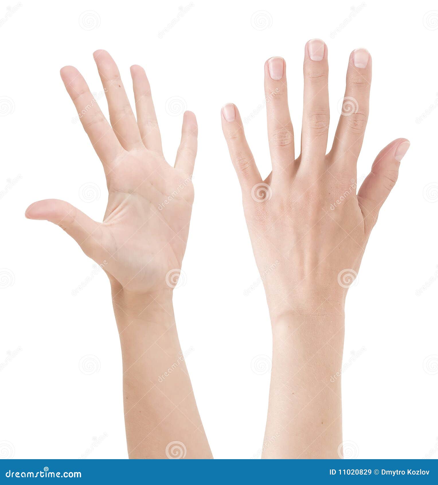 Mano umana immagine stock. Immagine di commercio, azione - 11020829