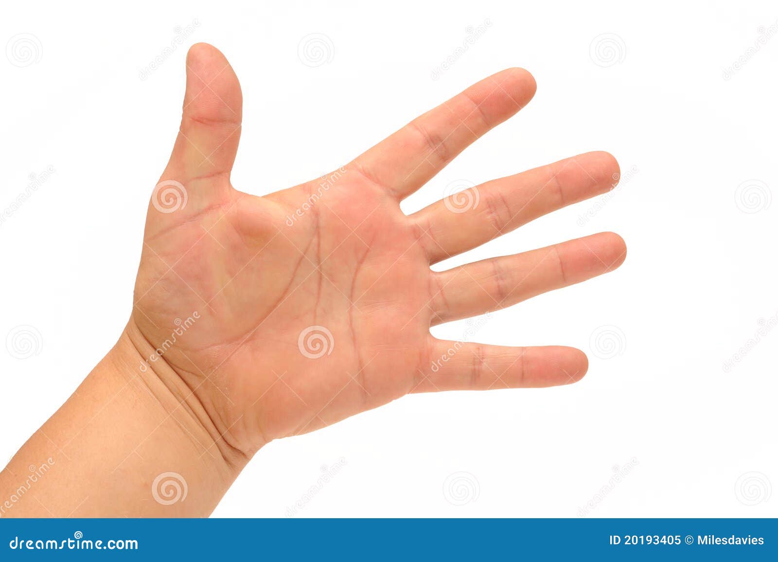 Mano umana immagine stock. Immagine di parte, bianco - 20193405