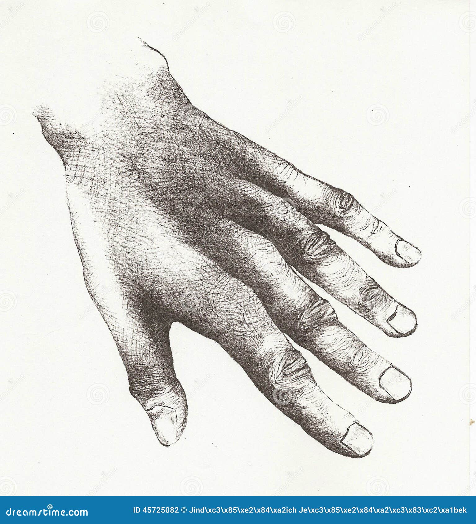 Mano umana illustrazione di stock. Illustrazione di concetto - 45725082