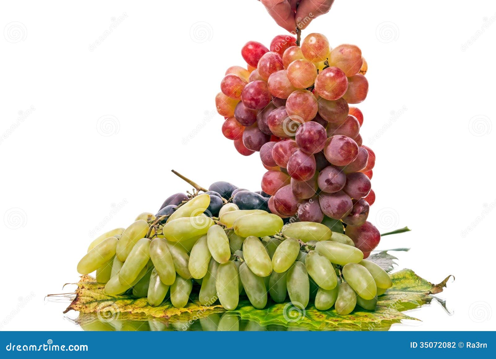 Mano y tres tipos de uvas foto de archivo. Imagen de baya - 35072082